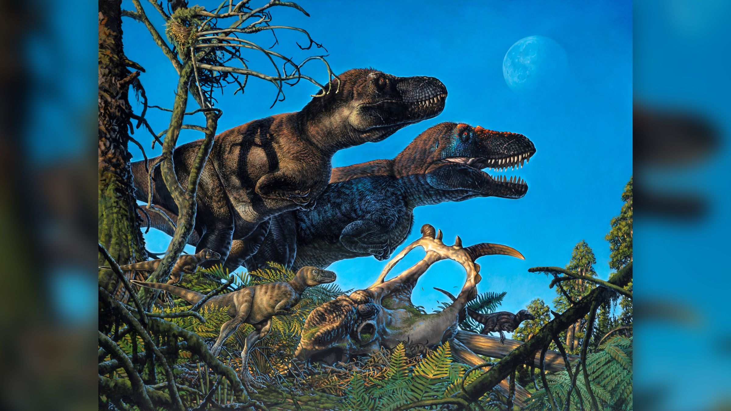 Baby dinosaurs hatched in the Arctic 70 million years ago | Live Science