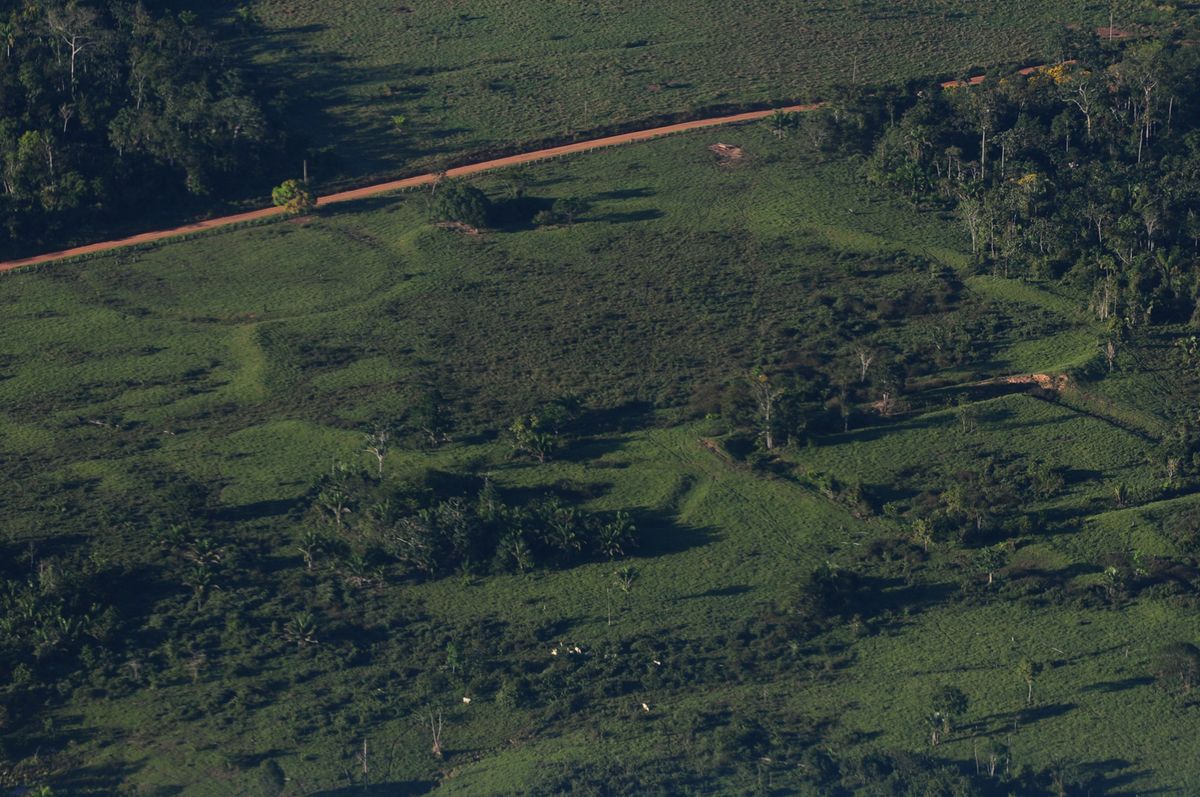 In Photos: Mysterious Amazonian Geoglyphs | Live Science