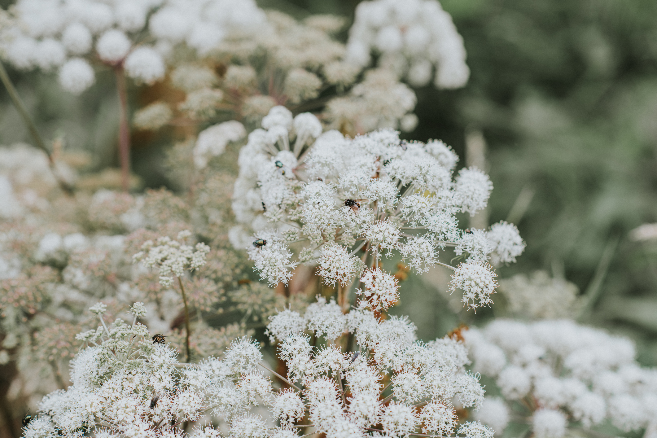 Hay fever symptoms and causes: do you know the signs? | GoodtoKnow
