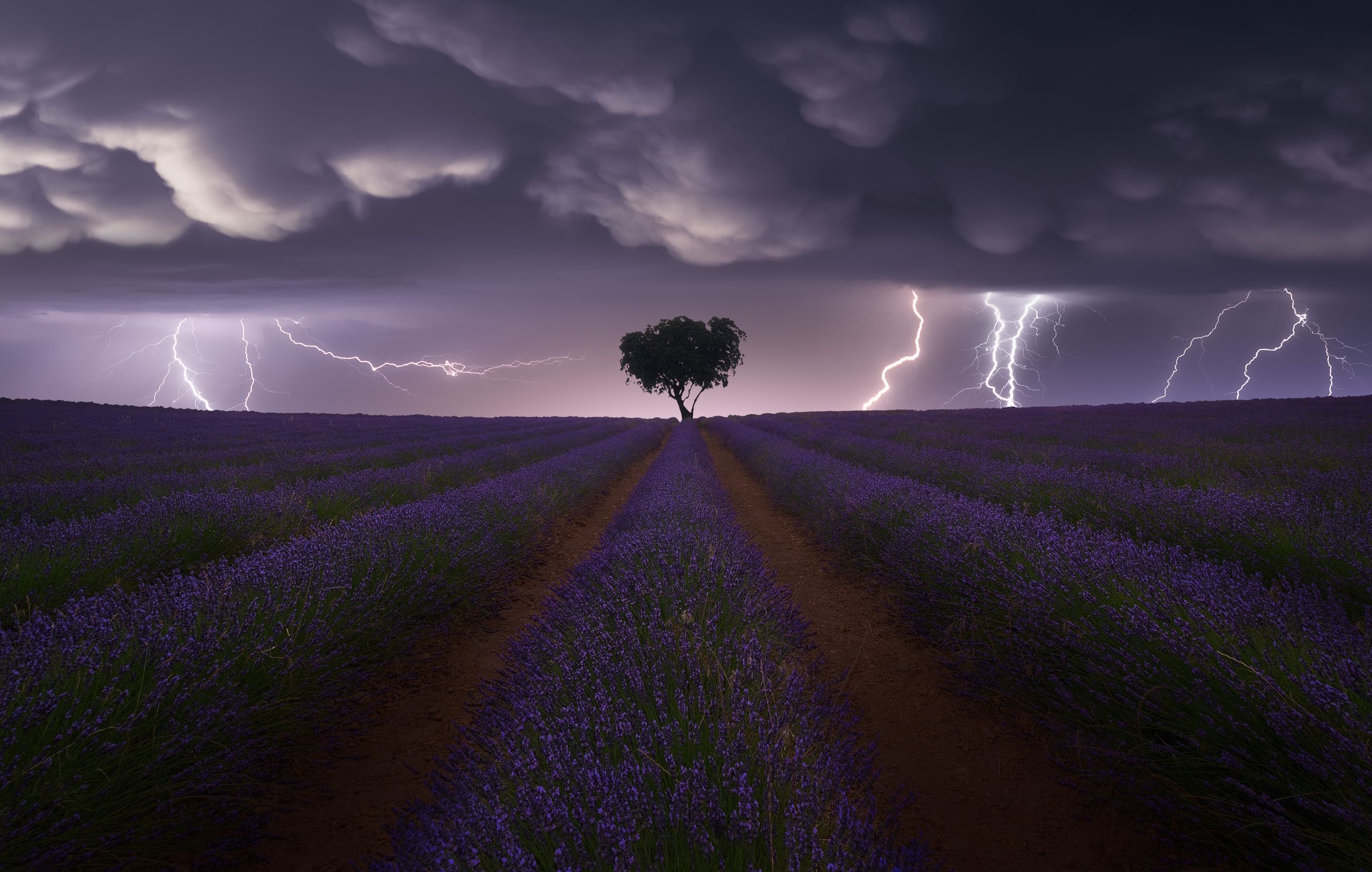Top 10 photographs revealed in Sony World Photo Awards 2021 | Digital ...