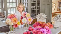 Martha Stewart's tablescape essentials include green glasses | Homes ...