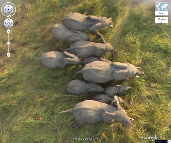 27 weirdest things on Google Earth | Live Science