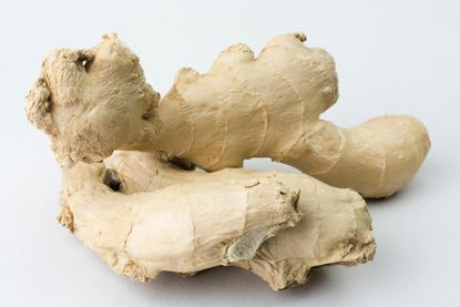 How to grow ginger indoors - the foolproof guide | Livingetc