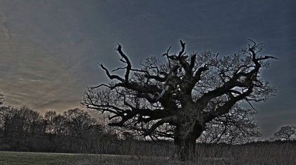 How to get the best out of Canon's built-in HDR feature | TechRadar