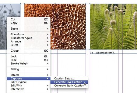 Using Live Captions in InDesign CS5 | Creative Bloq