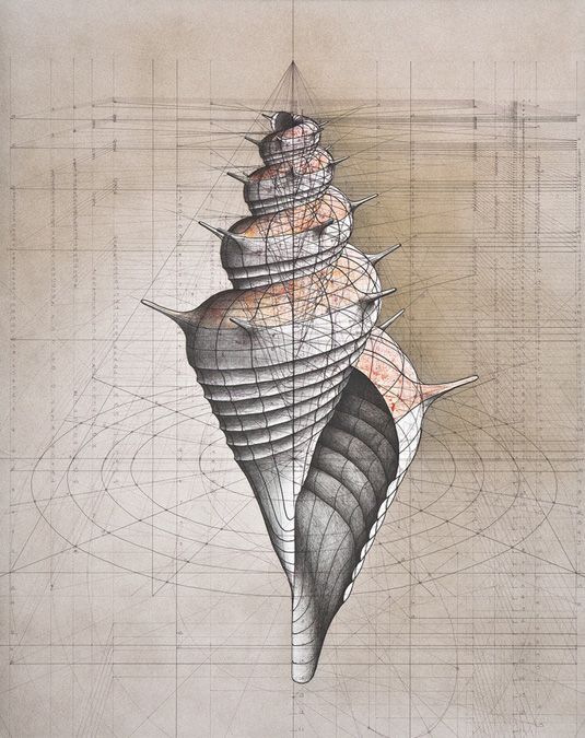 Artists will love this Golden Ratio colouring book | Creative Bloq