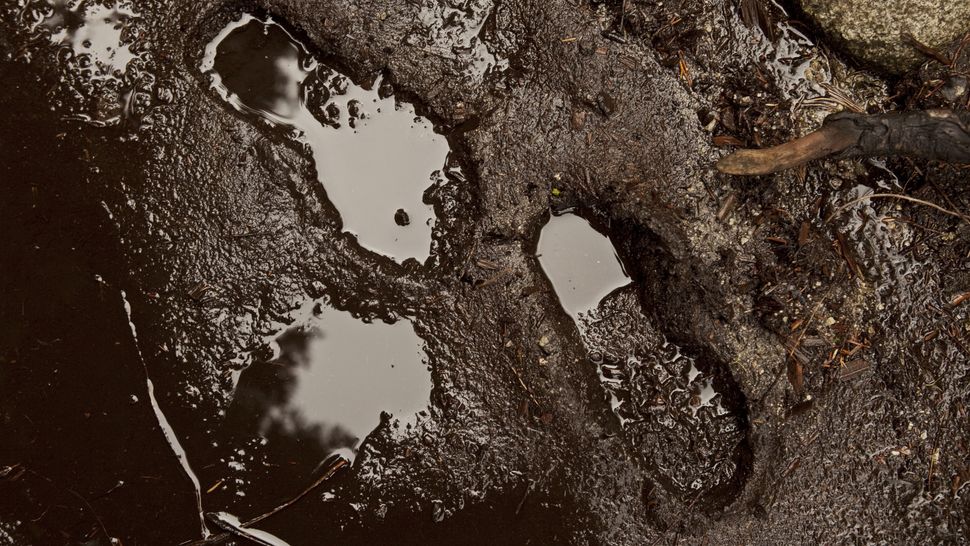 Hiking in mud: 10 tips for staying moving when it’s mucky | Advnture