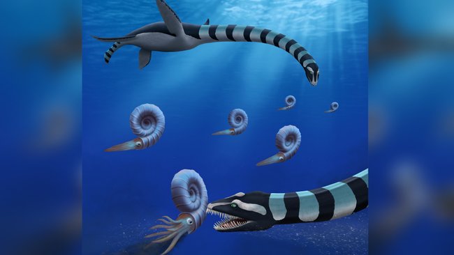 Spinosaurus: The Largest Carnivorous Dinosaur | Live Science