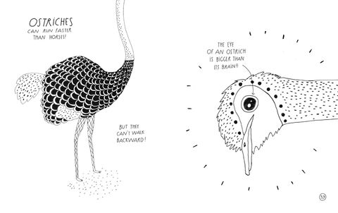 10 Amazing Animal Facts, Illustrated | Live Science