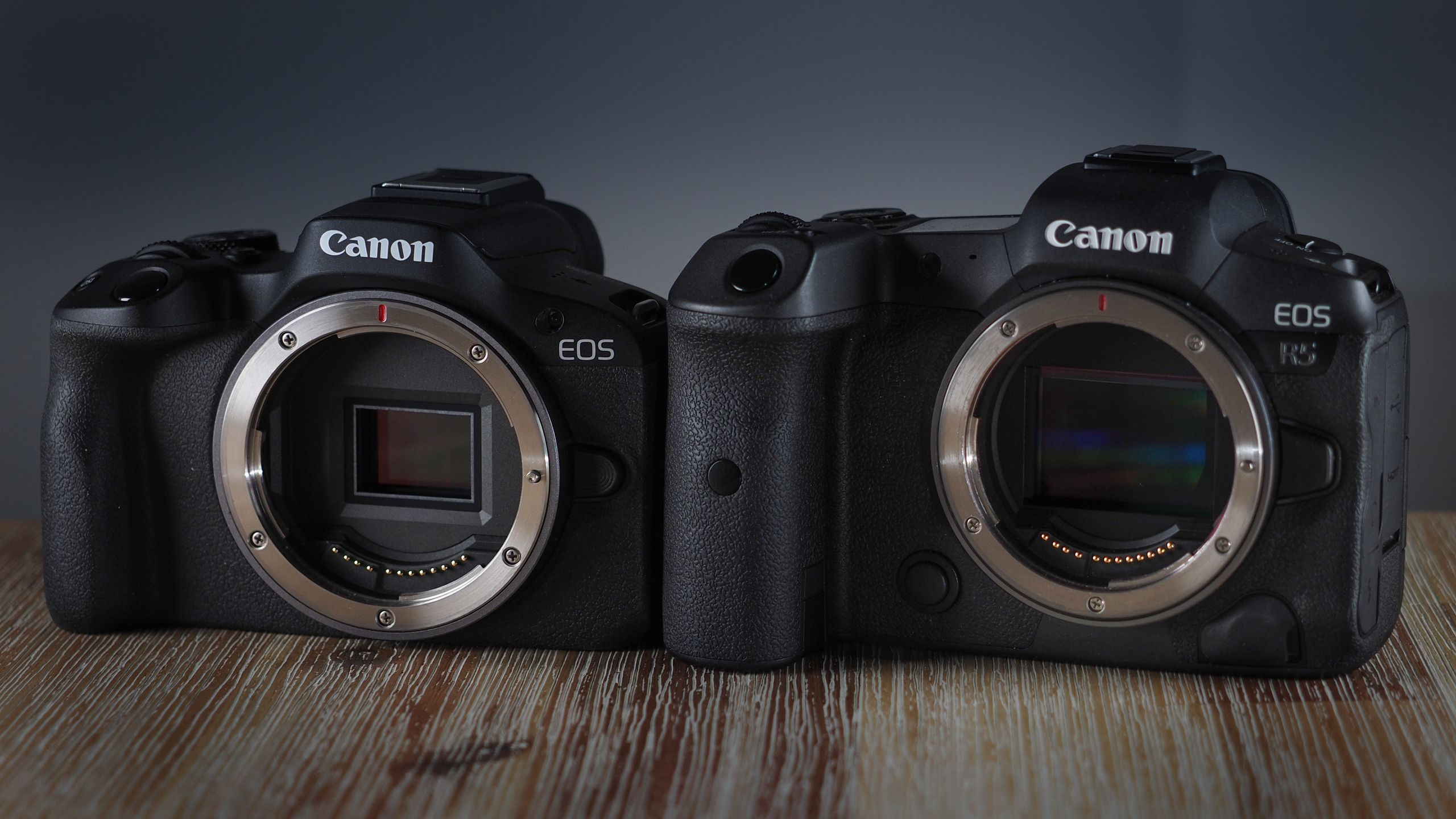 I can’t be the only one completely bored by Canon's camera designs ...