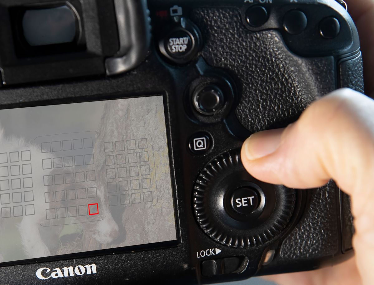 Sharpen up your focusing technique by selecting the right settings ...