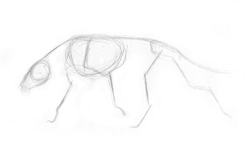 Draw groups of muscles in 5 steps | Creative Bloq