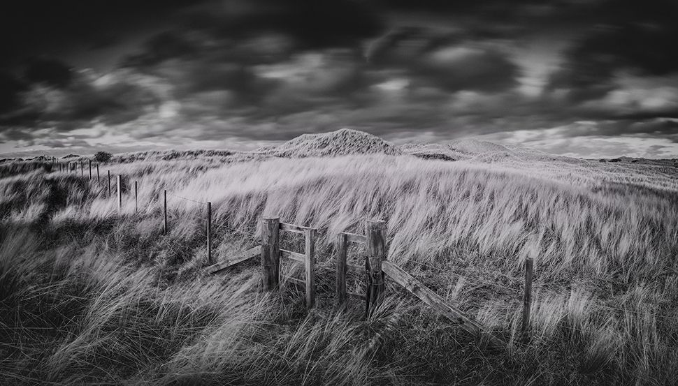 Mental Health Awareness Week: Why taking photos improves your wellbeing ...