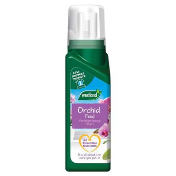 How to care for orchids indoors with our beginner's guide | Woman & Home