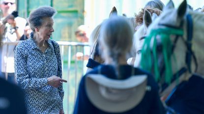 Princess Anne Jokes She's "Jolly Lucky" to Be "More or Less" Sane After ...