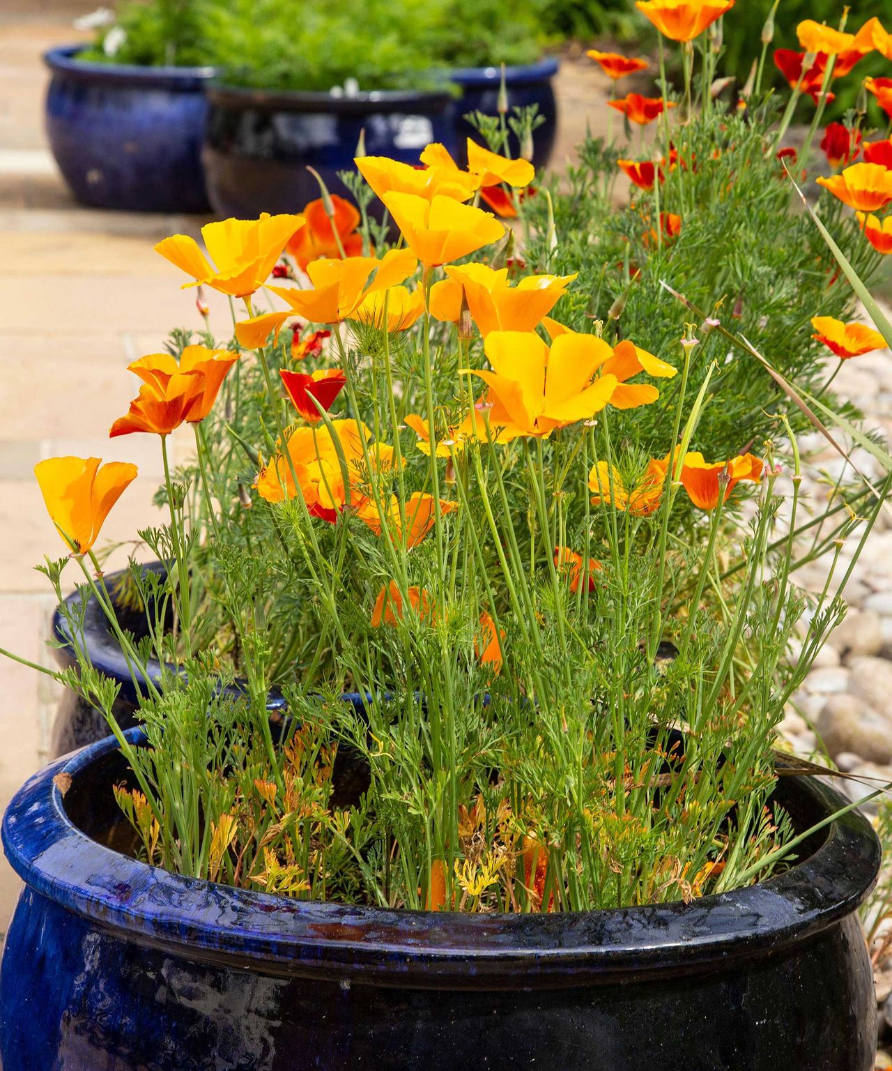 How to add drainage holes to planters: expert techniques | Homes and ...