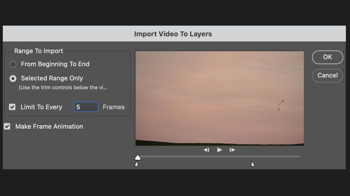 Wildlife photography with a twist: Capture birds in flight with this ...