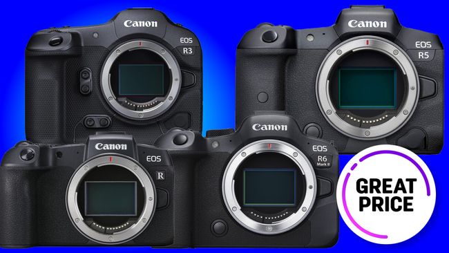 How to find your Canon camera shutter count in TWO simple steps ...