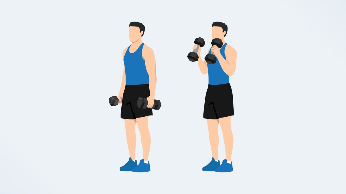 Bicep Curls Vs Hammer Curls Which Is Best Toms Guide