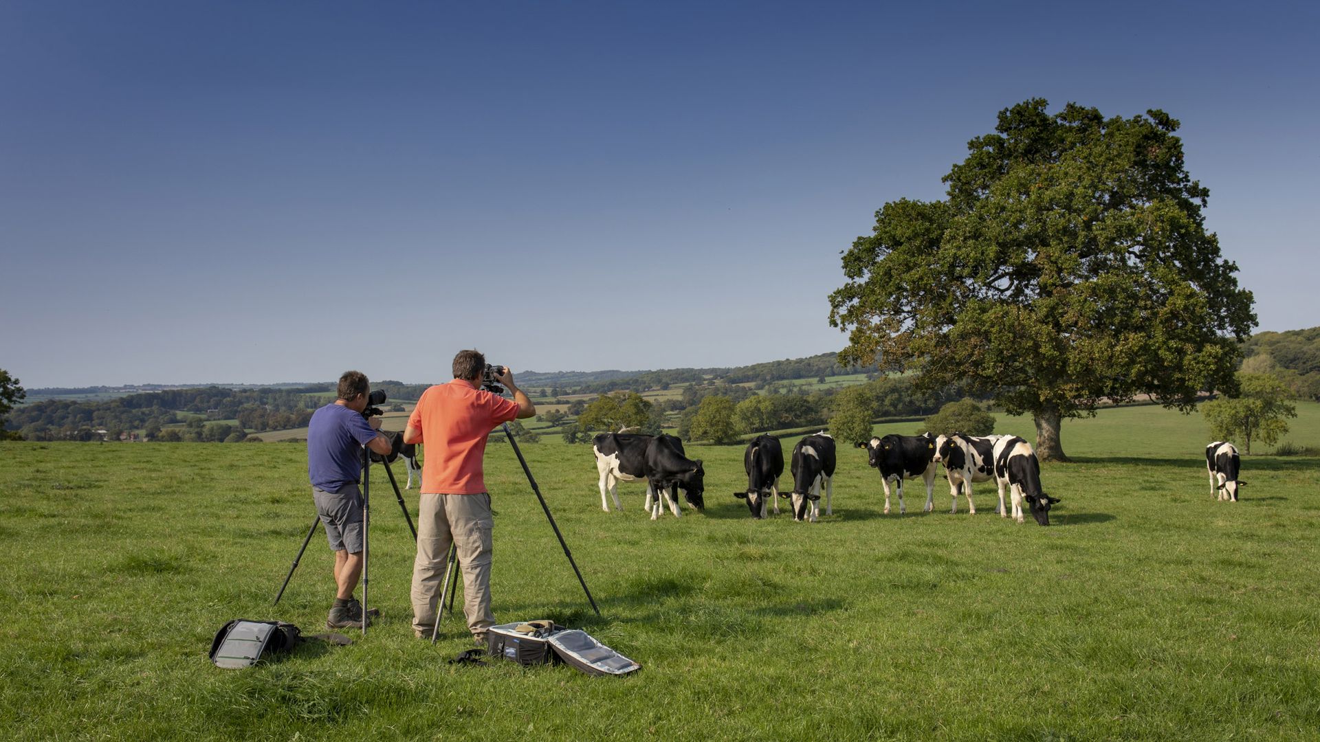 10 pro tips for tremendous treescapes: take amazing tree landscapes ...