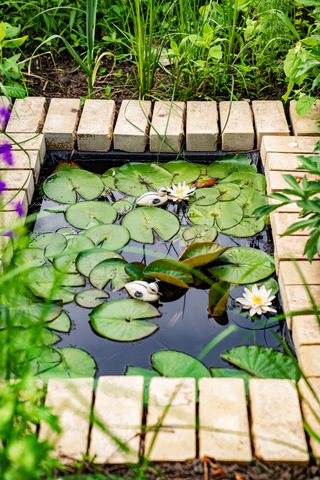 Tiny pond ideas for small gardens: how to create your own | Homes and ...