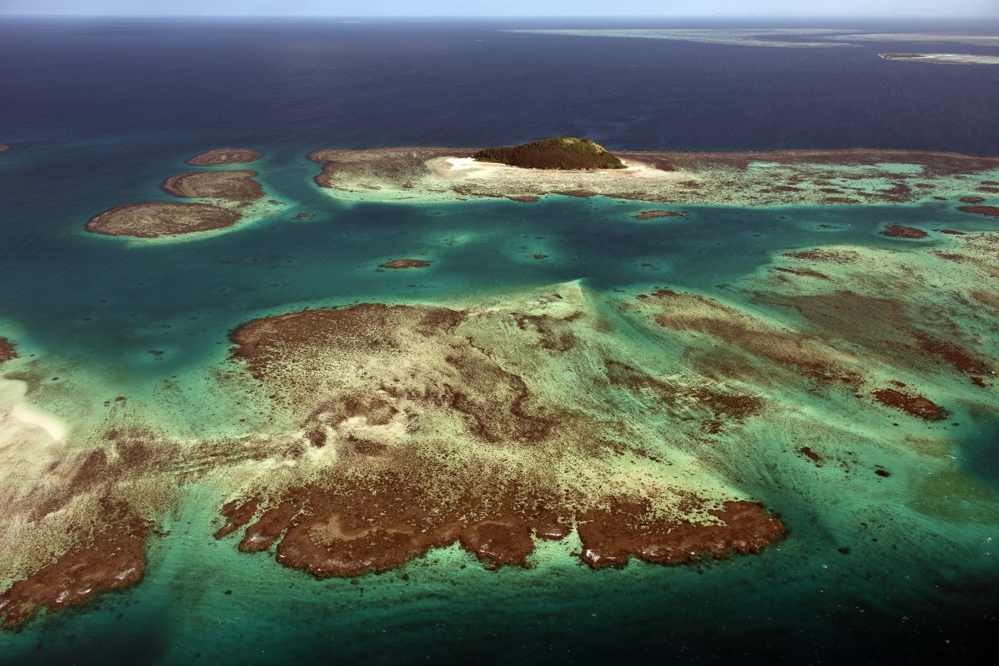 The 6th mass extinction hasn't begun yet, study claims, but Earth is ...