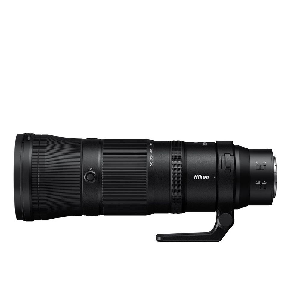 The best lenses for safari photography: get close to wildlife while maintaining a respectful ...
