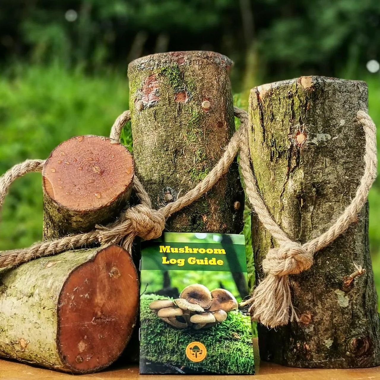 How to grow mushrooms at home – indoors and outdoors | Ideal Home