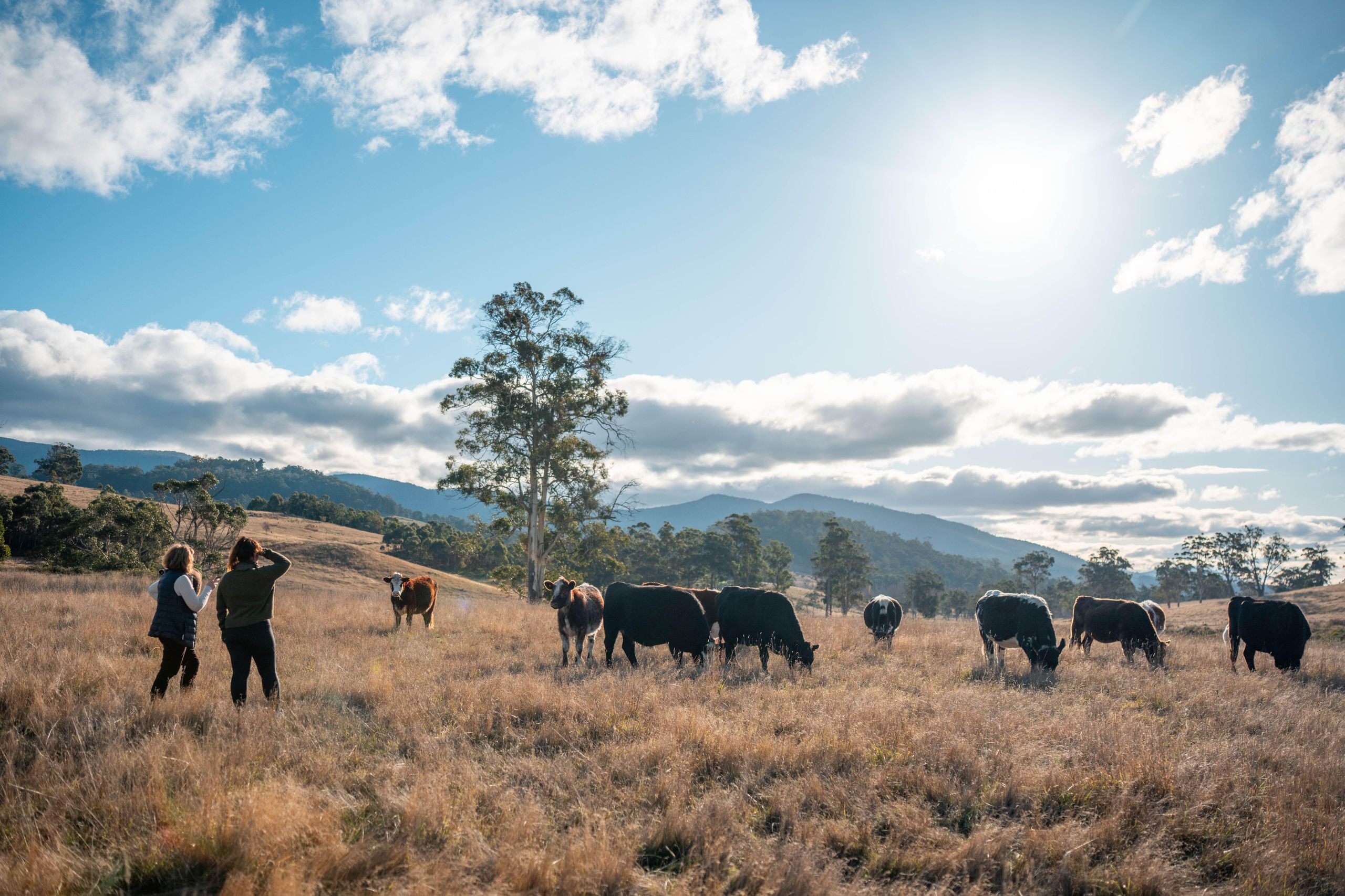 The Budget: What do we need to fix a broken countryside, and what will ...