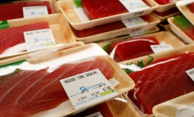 The Week contest - Fake fish | The Week