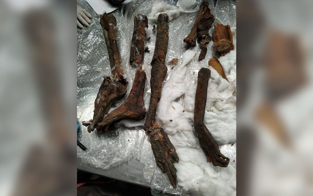 Stolen Mummy Feet, Arms and More Found Stashed in Speakers at Cairo ...