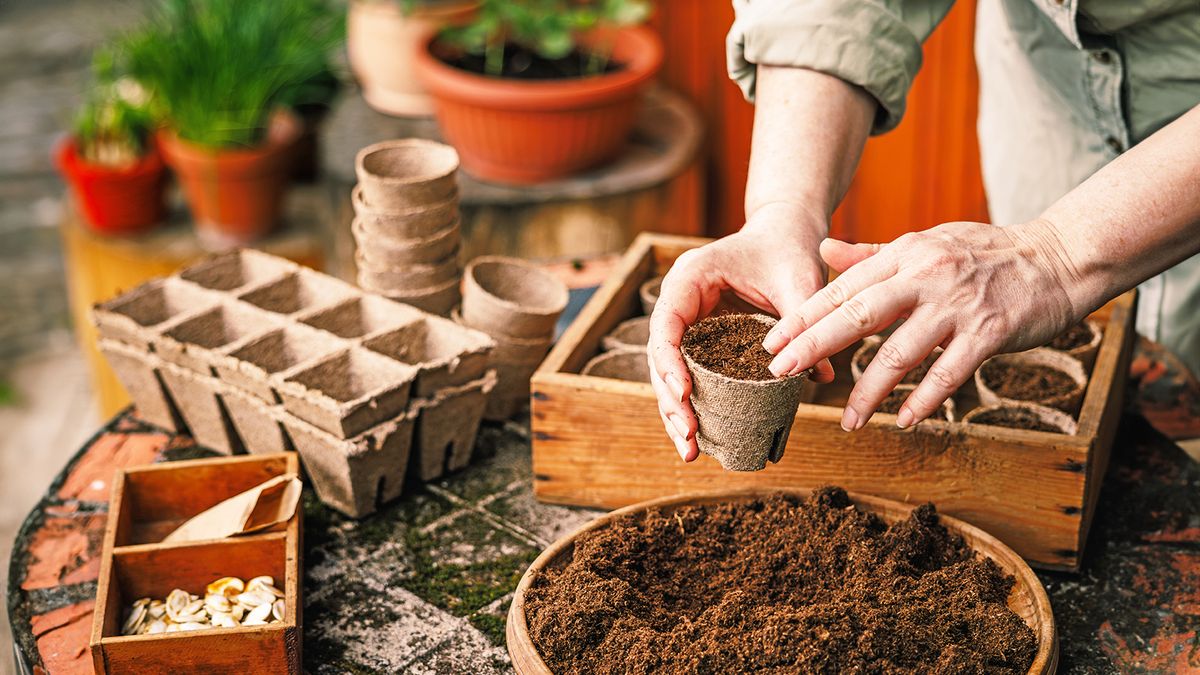 How To Make The Perfect DIY Seed-Starting Mix: Easy Recipes | Gardening ...