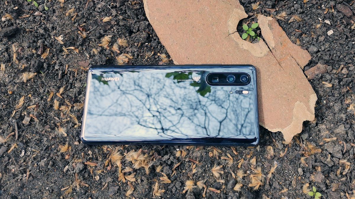 Huawei P30 Pro: camera review - pure imaging brilliance | Digital ...