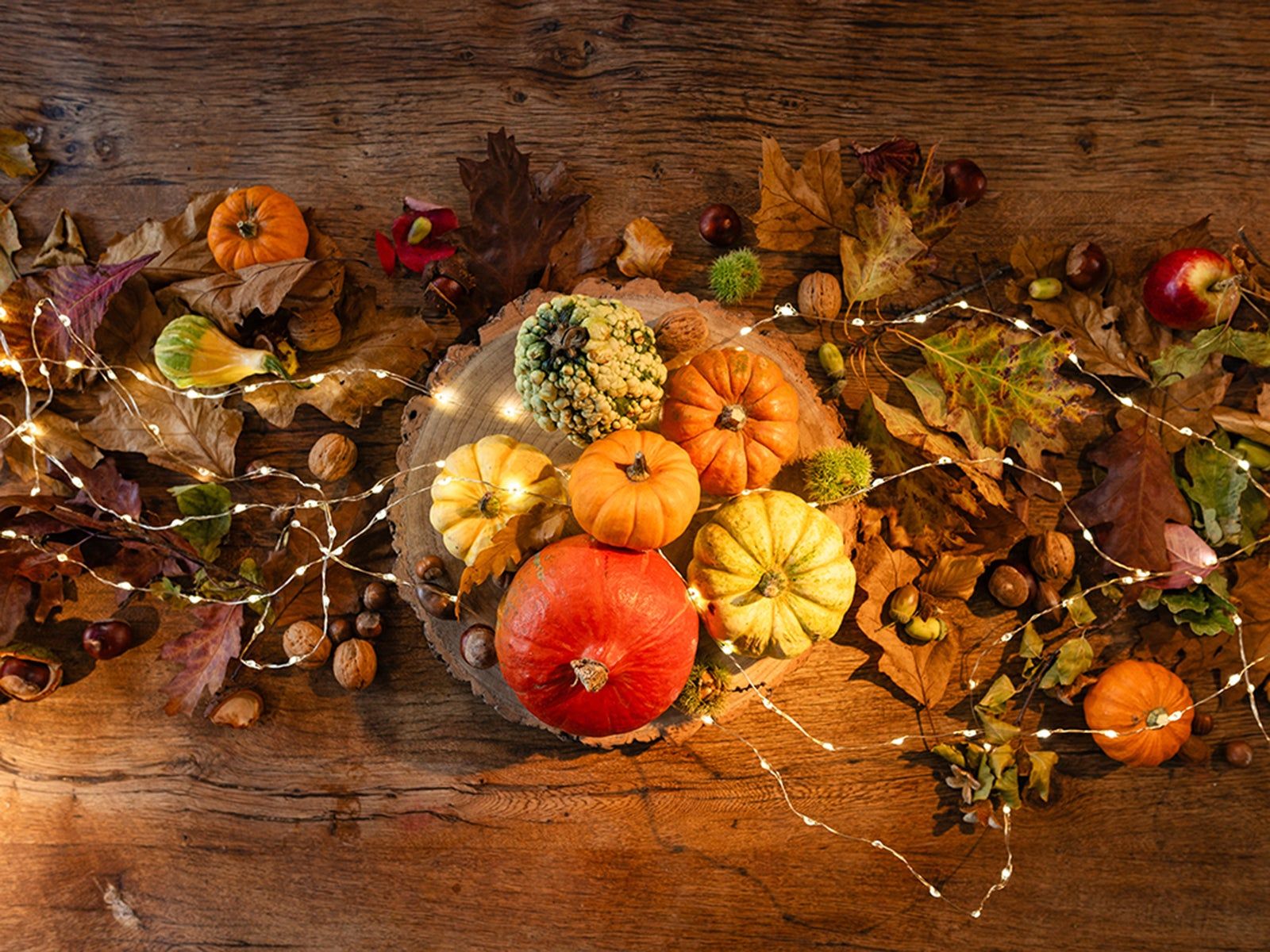 10 Thanksgiving Table Decor Ideas Using Your Garden's Bounty ...