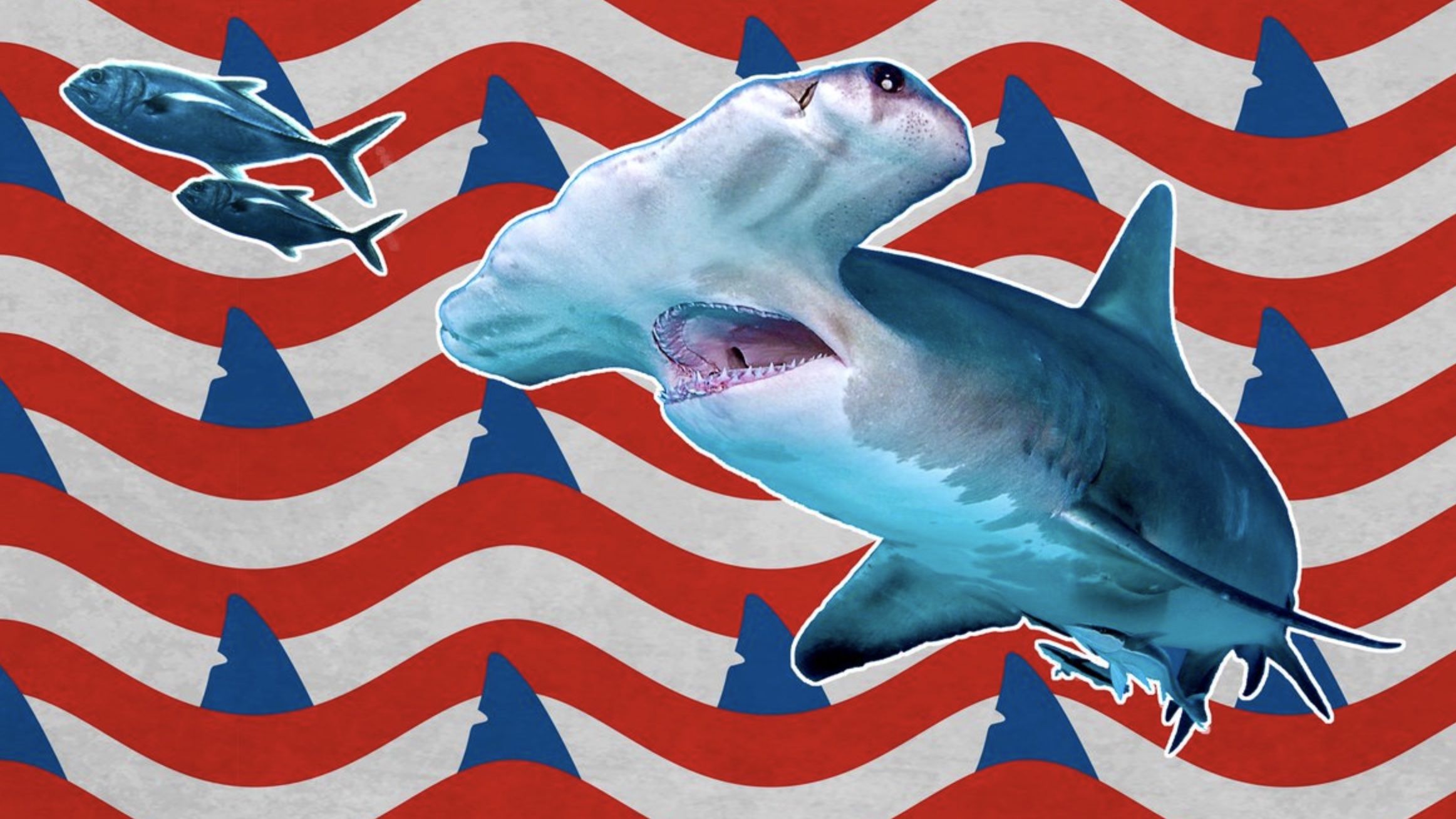 How to watch Shark Week 2020 online: TV schedule, where to stream and ...