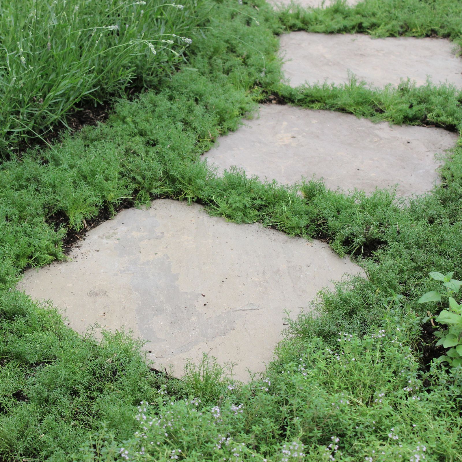 Front garden path ideas to up your kerb appeal | Ideal Home