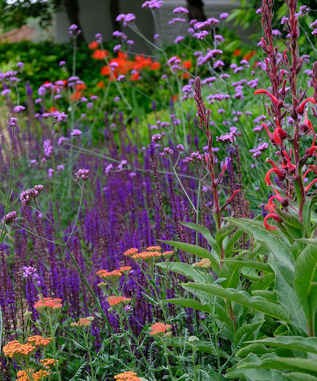 Garden color schemes: how to use color in the garden | Homes and Gardens