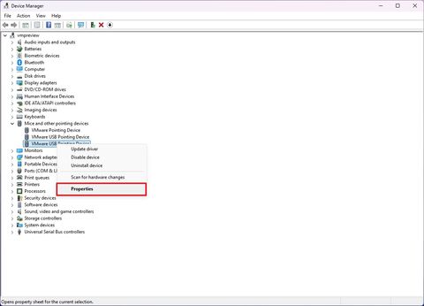 How to enable reverse mouse and touchpad scrolling on Windows 11 ...