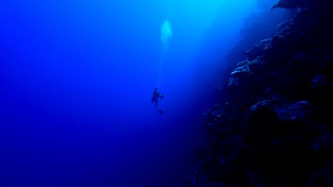 Only 0.001% of deep ocean has ever been explored by humans — an area ...