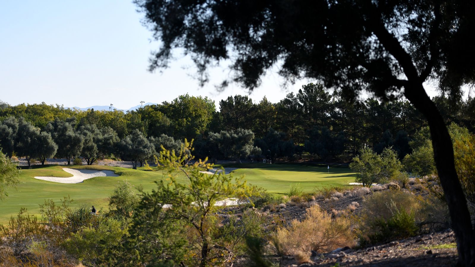 How Can I Play TPC Summerlin? | Golf Monthly