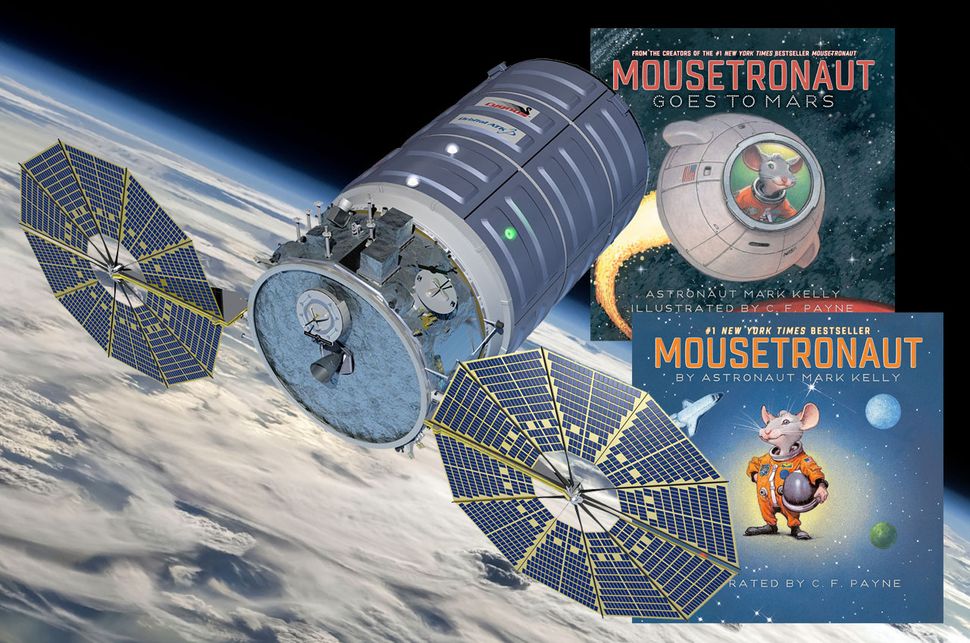 Astronaut's 'Mousetronaut' Stories Among Kids' Books Bound for Space ...
