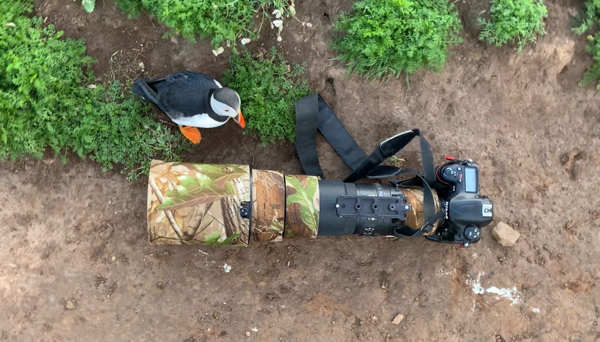 Check out this long lens setup for wonderful wildlife photos | Digital ...