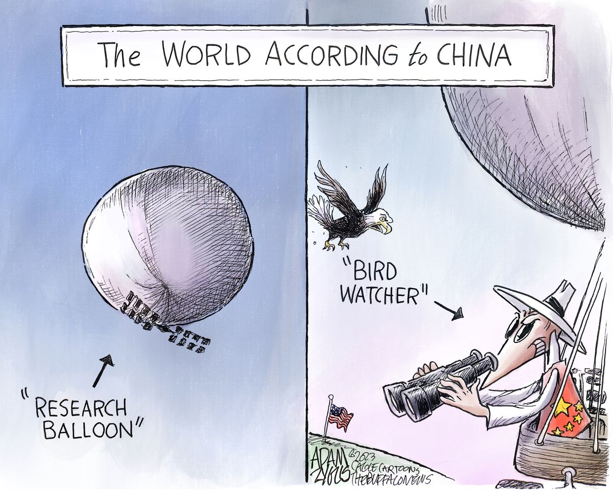 Bird watcher | The Week