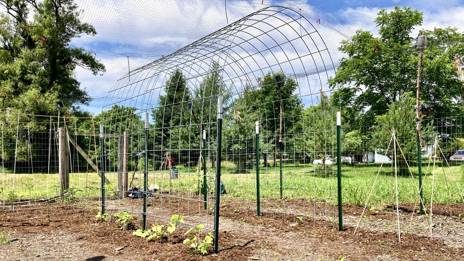 I Elevated My Garden With This Easy DIY Trellis - Here's How ...