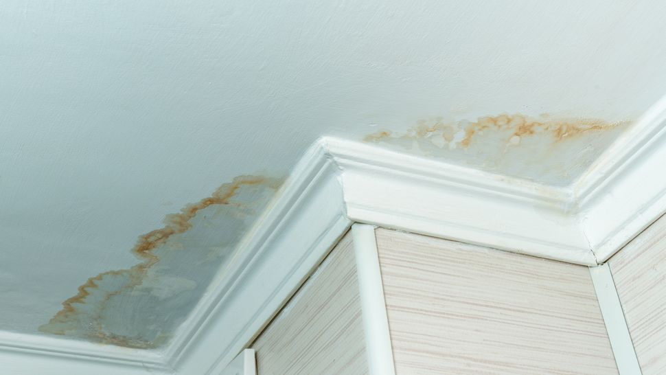 Painting over water stains: Pro tips for the perfect finish | Homebuilding