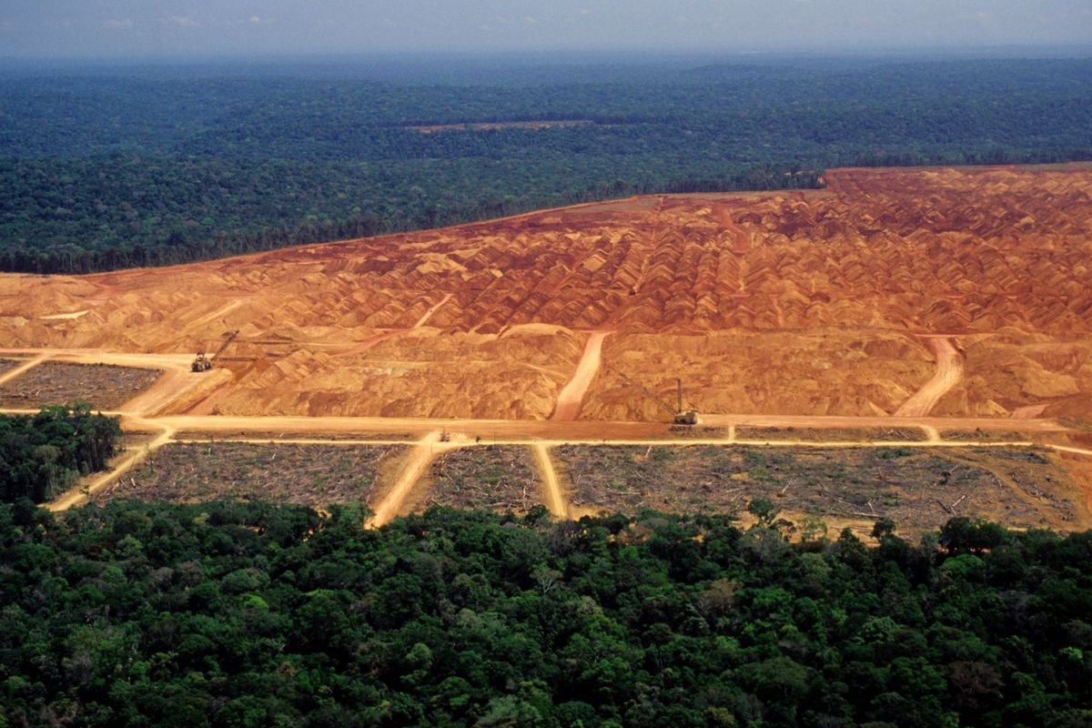 Deforestation: Facts about the widespread destruction of Earth's ...