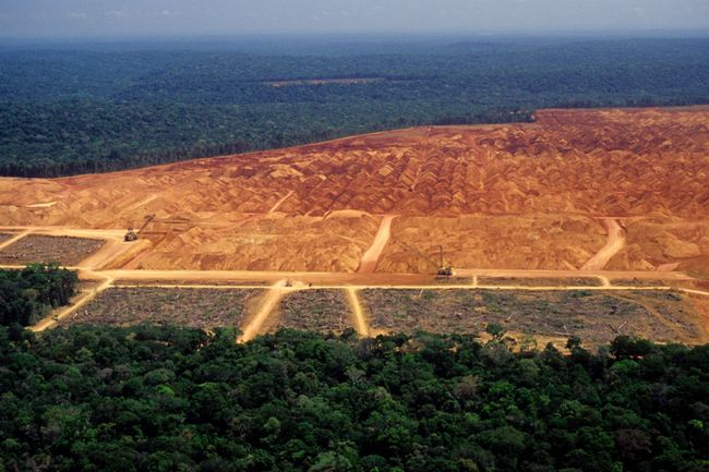Deforestation: Facts about the widespread destruction of Earth's ...