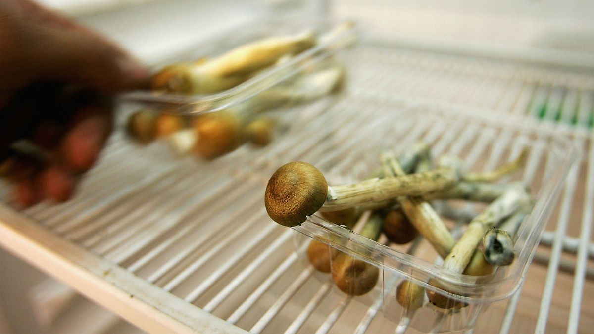 Magic mushrooms 'reduce depression in cancer patients' | The Week