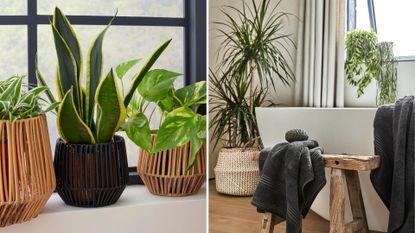 11 ways to create a calming sanctuary | - Floor Care Advisor