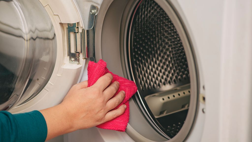 How to remove dog hair from your washing machine | PetsRadar
